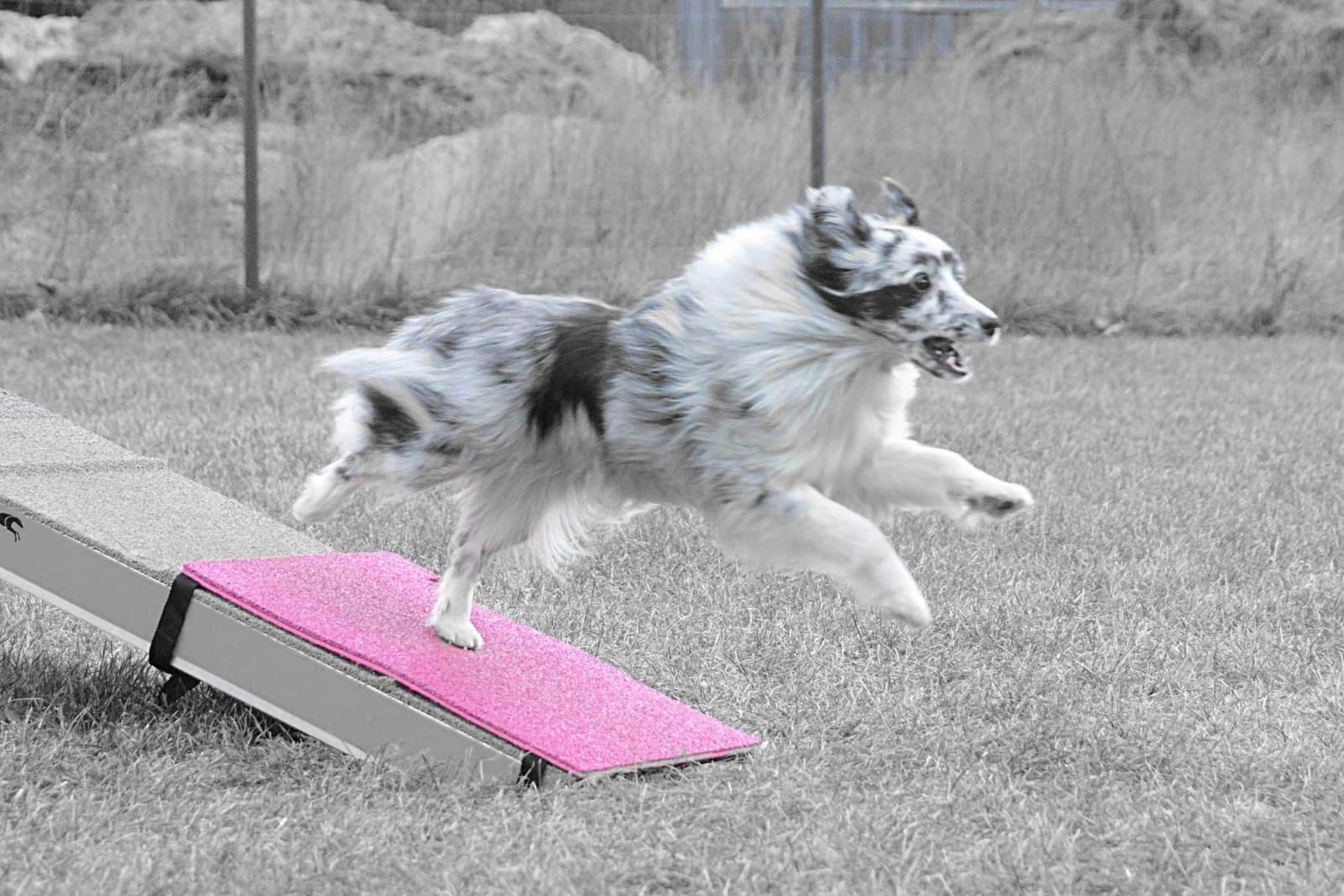 Instruction manual – DO YOU KNOW Onlineshop